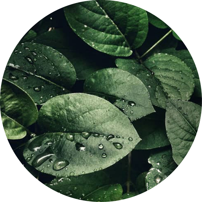 STAPF | Online Shop bei Kastner & Öhler