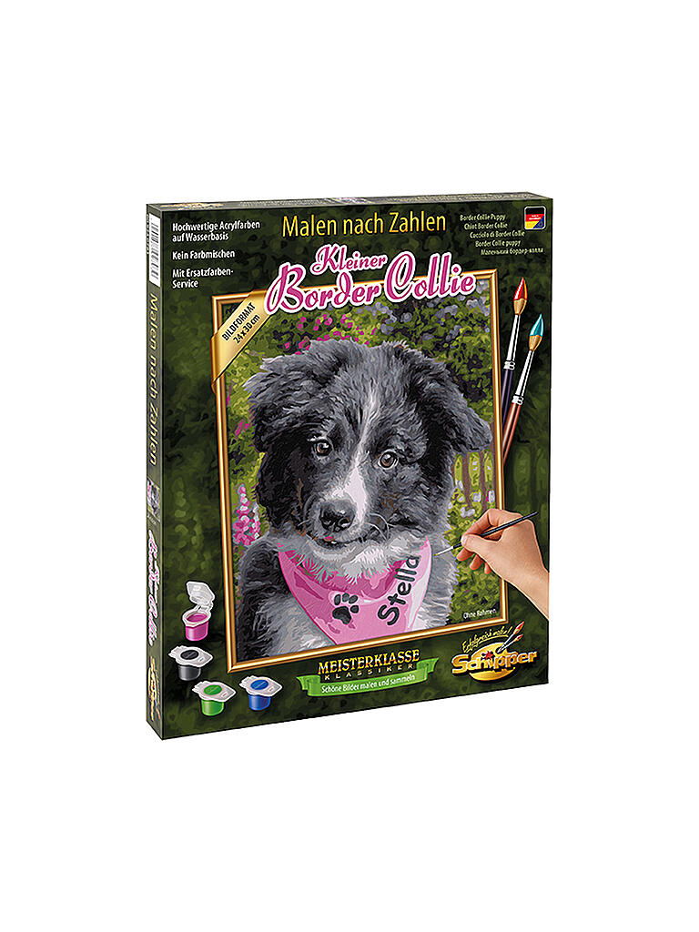 SCHIPPER Malen nach Zahlen - Border Collie Puppy transparent