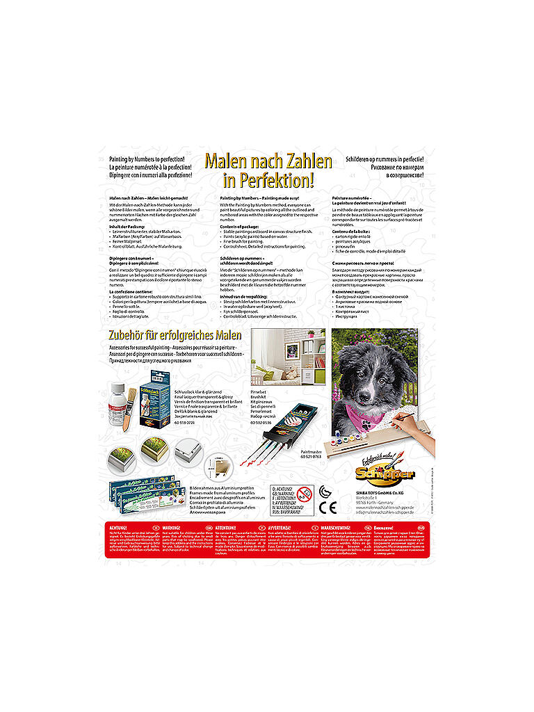 SCHIPPER Malen nach Zahlen - Border Collie Puppy transparent